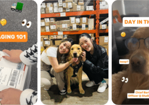 Canada Post Letter Rates 2024: Comprehensive Guide (Updated)